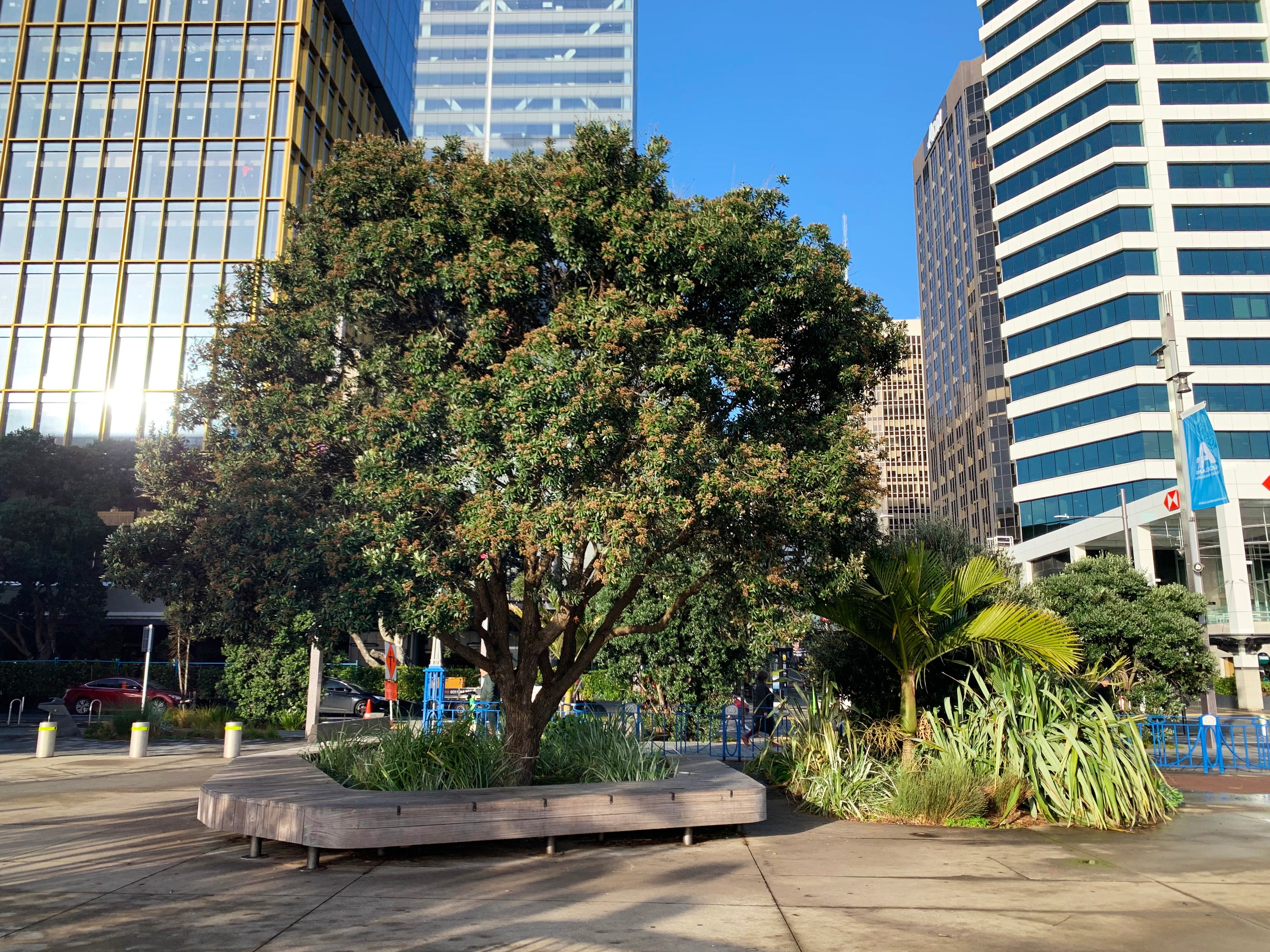 TerraCottem arbor – TerraCottem New Zealand